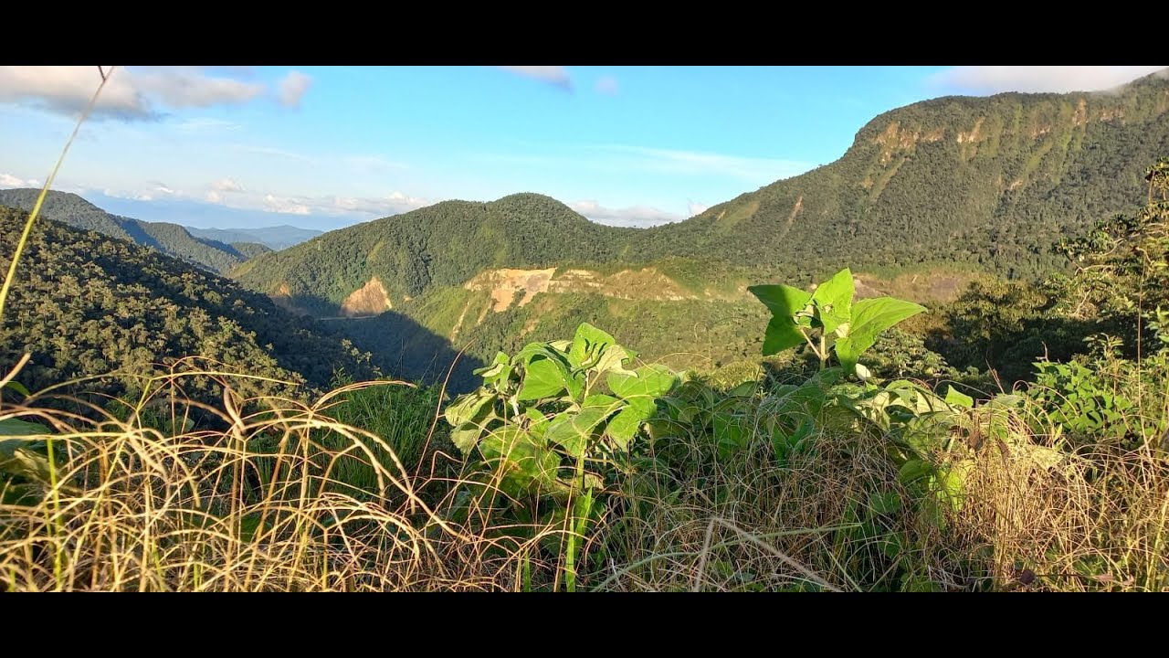 AREAS PROTEGIDAS ALTO BENI - YouTube