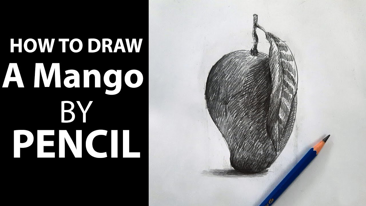 How to draw a mango step by step | pencil sketch | art monkey - YouTube