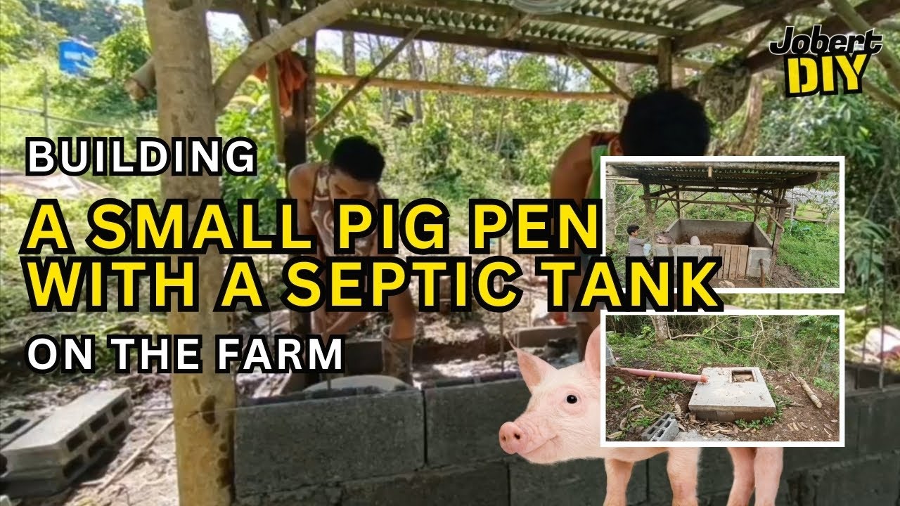 Building a Small Pig Pen with a Septic Tank on the Farm - YouTube