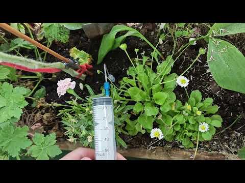 Демо точка Тераса 1 Почвен анализ