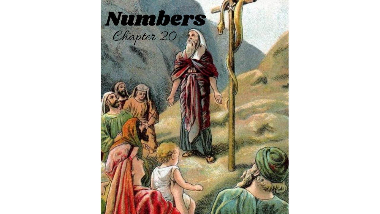 Numbers Chapter 20 - YouTube