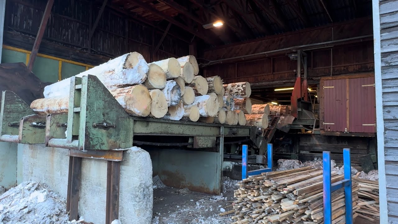 Gattersägewerk / Sawmill Esterer EWD Springer Microtec BNK DK90TL ...