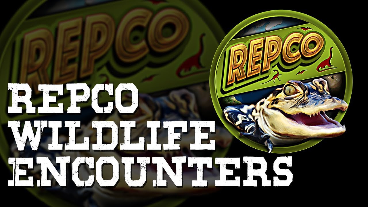 REPCO Wildlife Encounters @ APL - YouTube