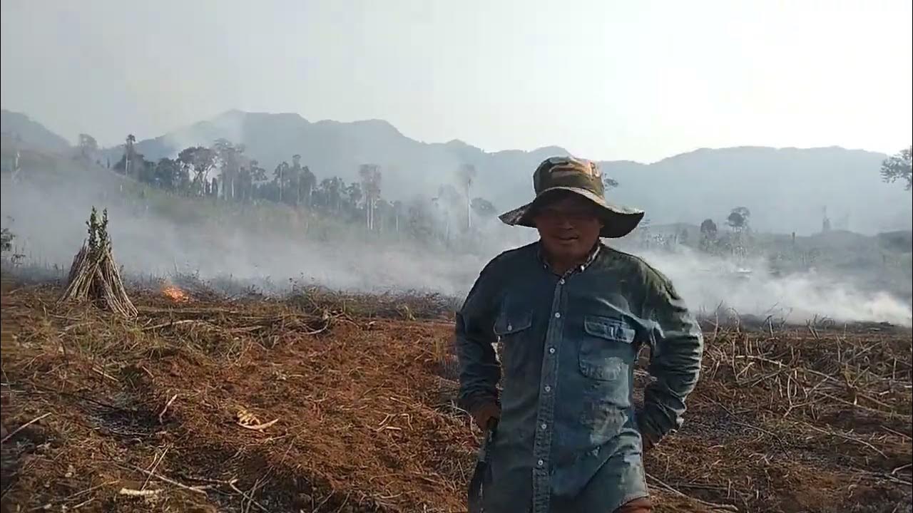 hnub no mus rho qo ma sab kawg li 14/02/2023 - YouTube