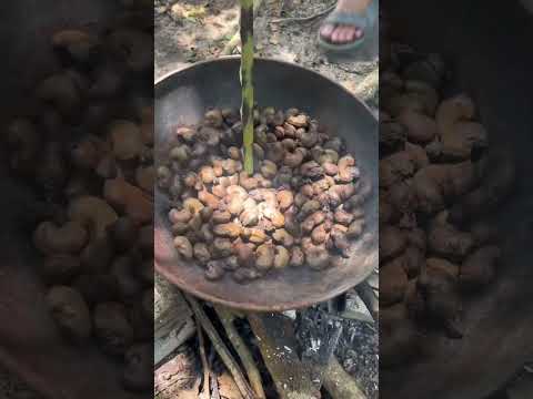 Asal usul kacang jagus/ gajus😁 #90an #80an #diy #abgadaspm