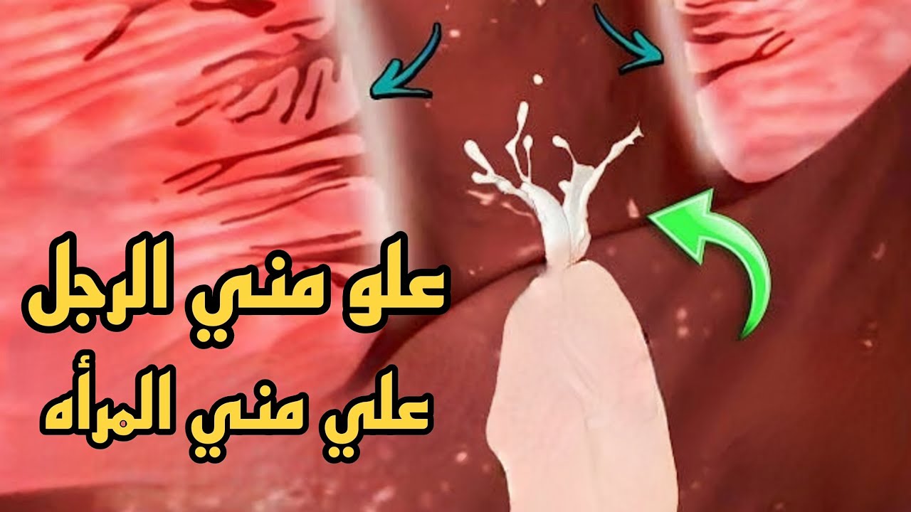 علو مني الرجل علي مني المرأه اثناء الجماع مشاهد تعرض لأول مره Youtube
