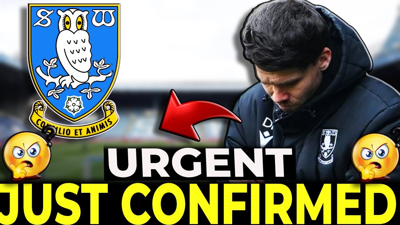 💥 WHY THEY’RE DREADIN’ HIS RETURN – INSIDE SCOOP! SHEFFIELD WEDNESDAY ...
