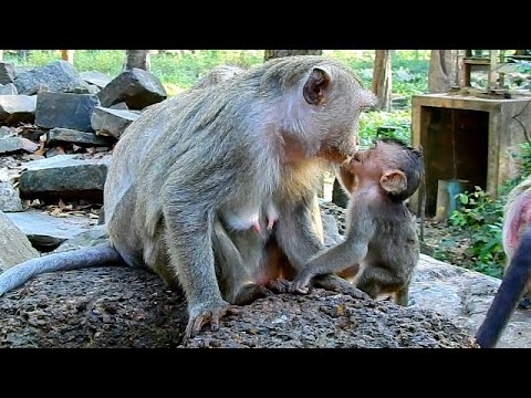 Sweet kiss of mother Anita and adorable baby Aleah . - YouTube