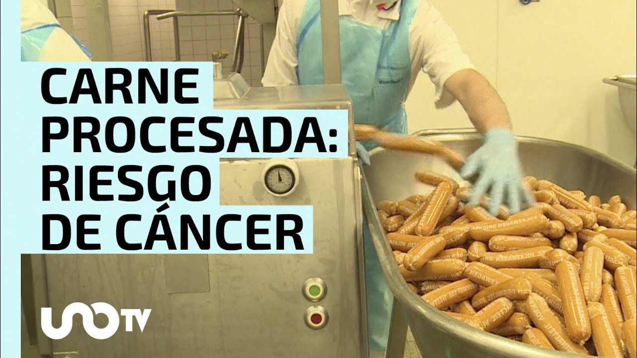 ¿Consumir carne procesada aumenta el riesgo de padecer cáncer ...