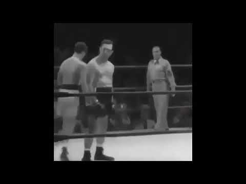 Marağlı ve Menalı vidyolar