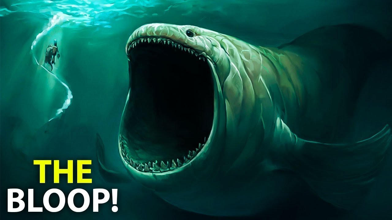 BLOOP O MONSTRO DO MAR , GIGANTESCO ! - YouTube
