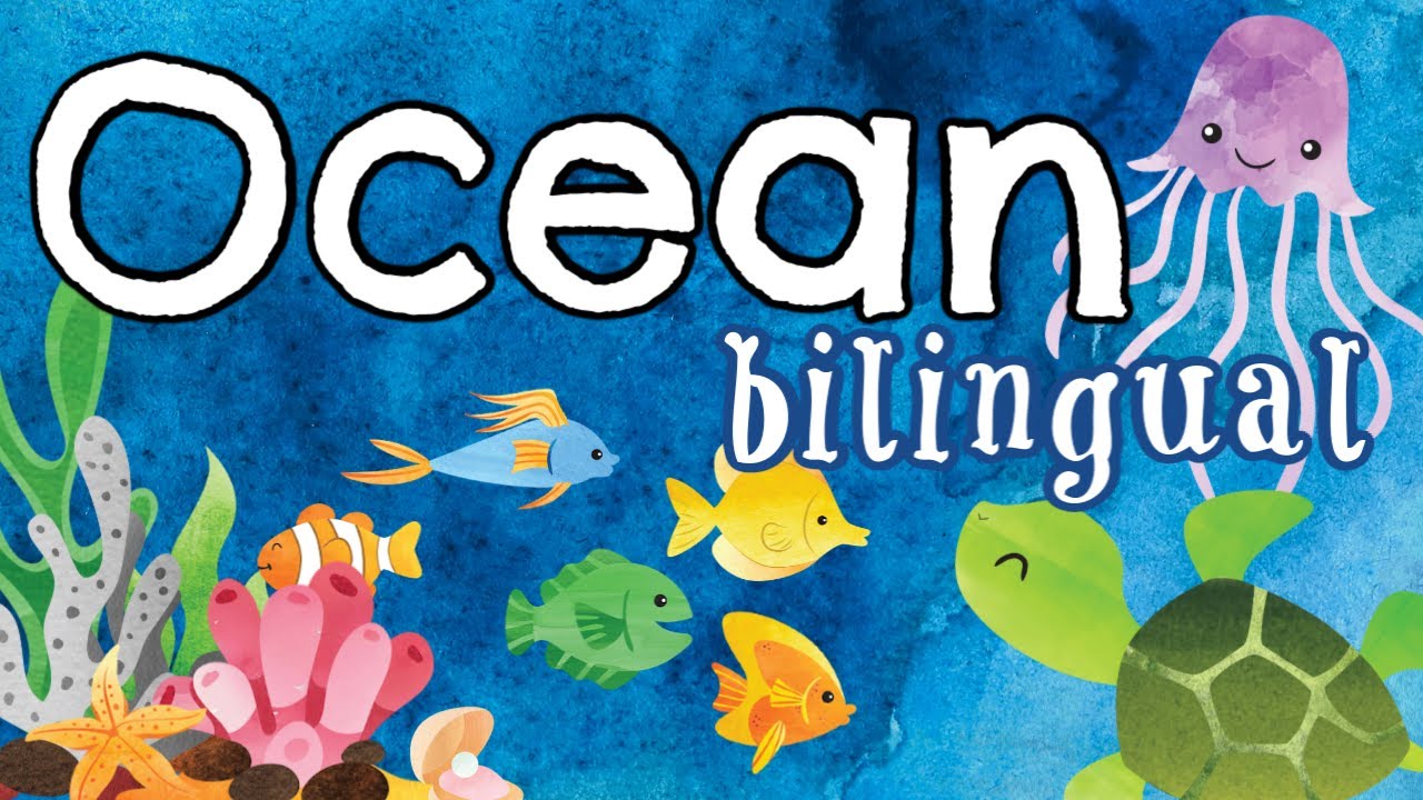 Ocean Bilingual Storytime - YouTube
