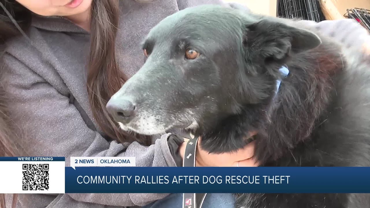 Community rallies after Broken Arrow dog rescue theft - YouTube