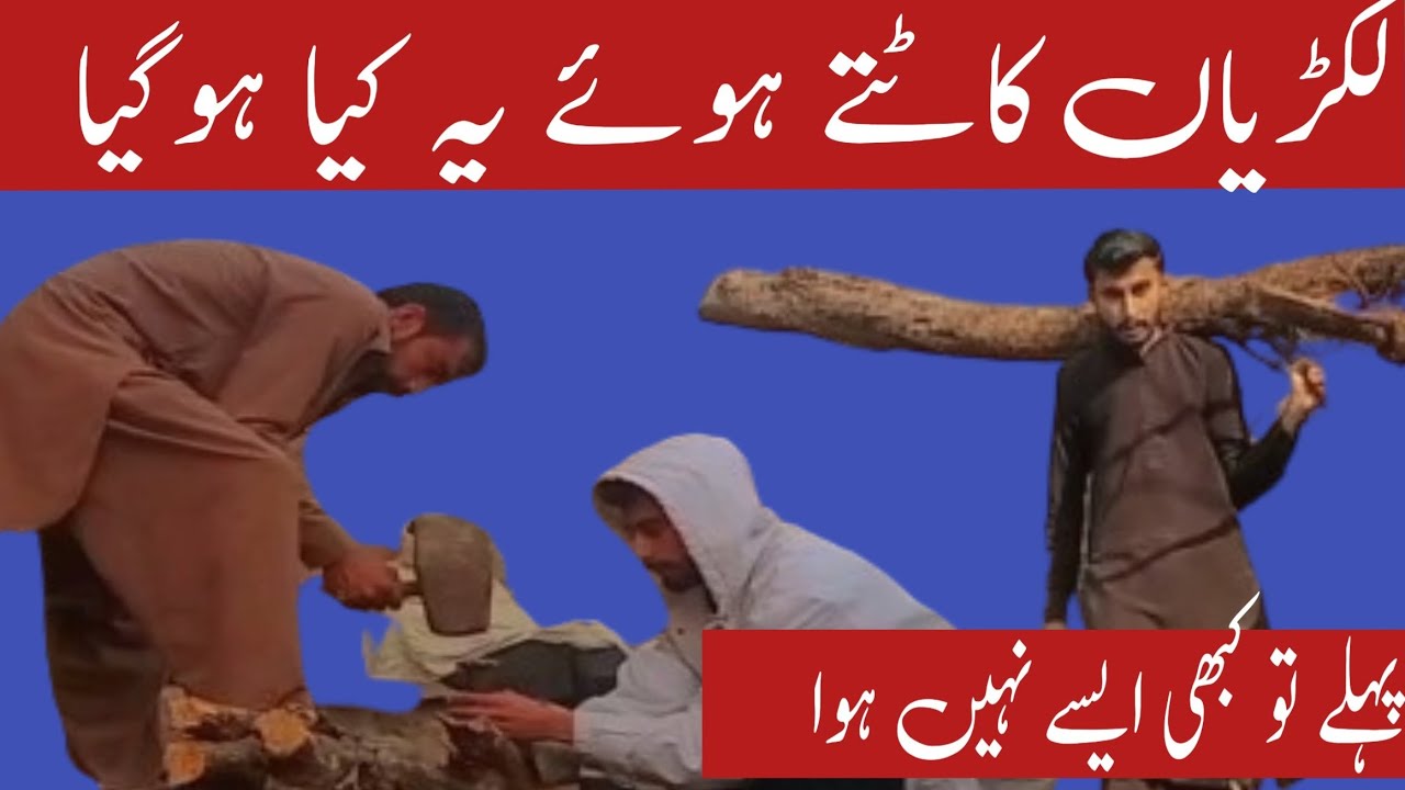 lakrian layny chlty hai ||jungle ka visit || ch mudasir vlog shahdara Islamabad - YouTube