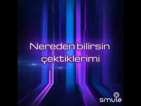 1 FERDİ TAYFUR SES İKİZİ SEVDA YELLERİ