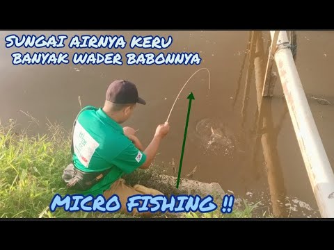 Mancing ikan wader di sungai air keru banyak strike wader babon - YouTube