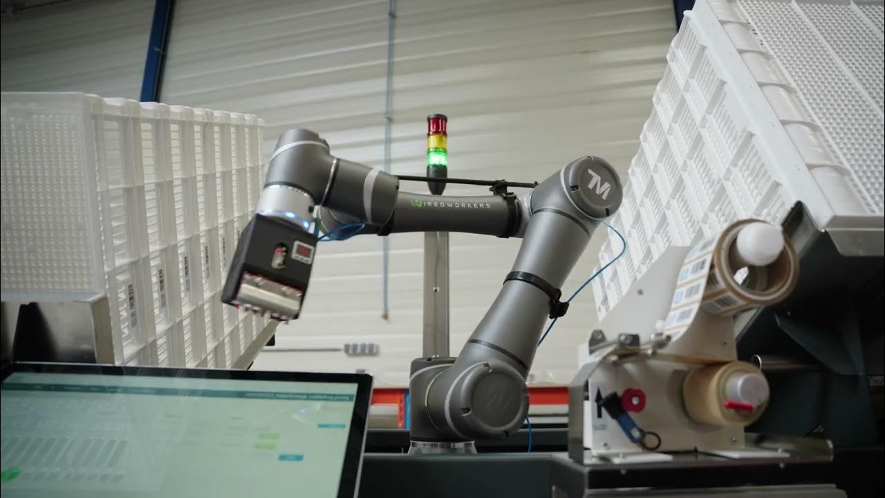 Labelling crates with a Techman Robot TM5-900 - YouTube