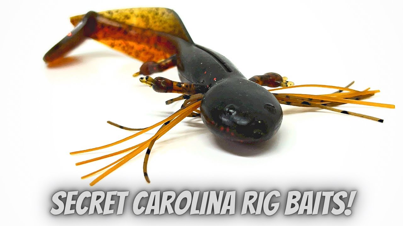 Try These Secret Carolina Rig Baits! - YouTube