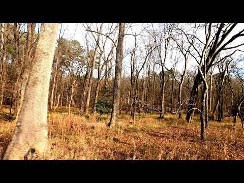Lower Haw River Trail Hike - YouTube