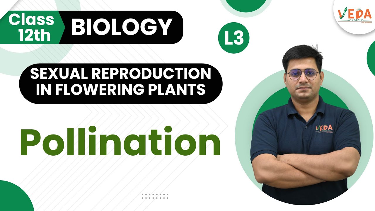 Pollination | Sexual Reproduction in Flowering Plants | L3 | CBSE Class ...