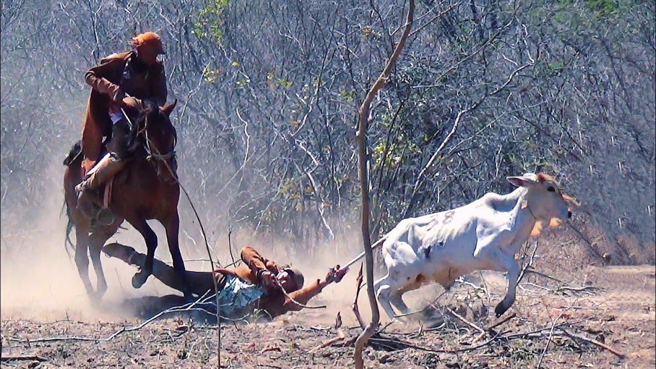 4°Pega de boi no mato no Parque União do Vaqueiro (C.G.O) - YouTube