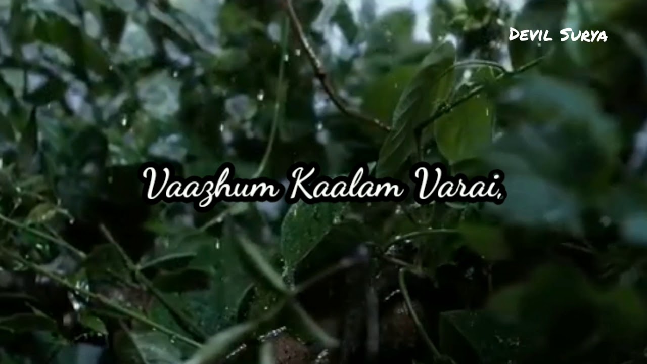 Pookal pookum tharunam song /Tamil whatsapp status /madharasapattinam ...