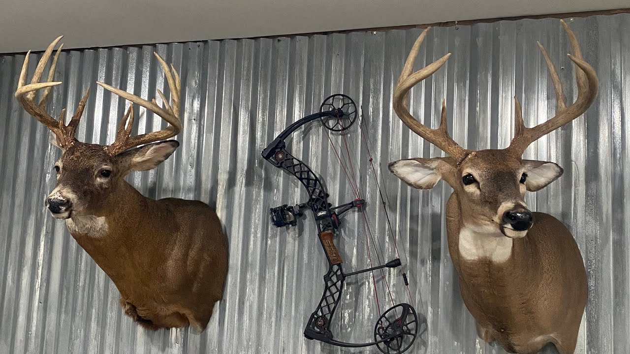 Drawback outdoors Trophy Room - YouTube