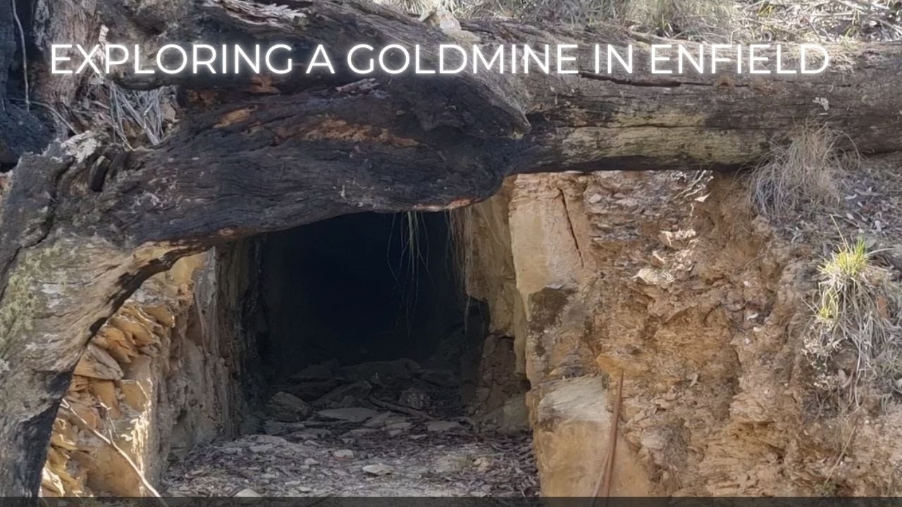 Exploring a Gold Reef Prospecting Adit in Enfield SP - YouTube