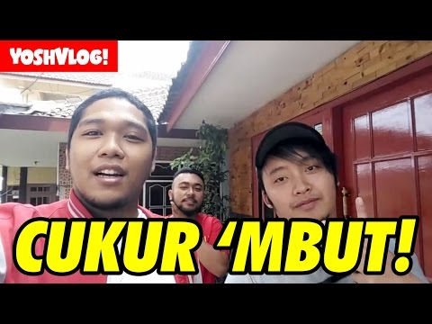 YoshVlog! | CUKUR 'MBUT!