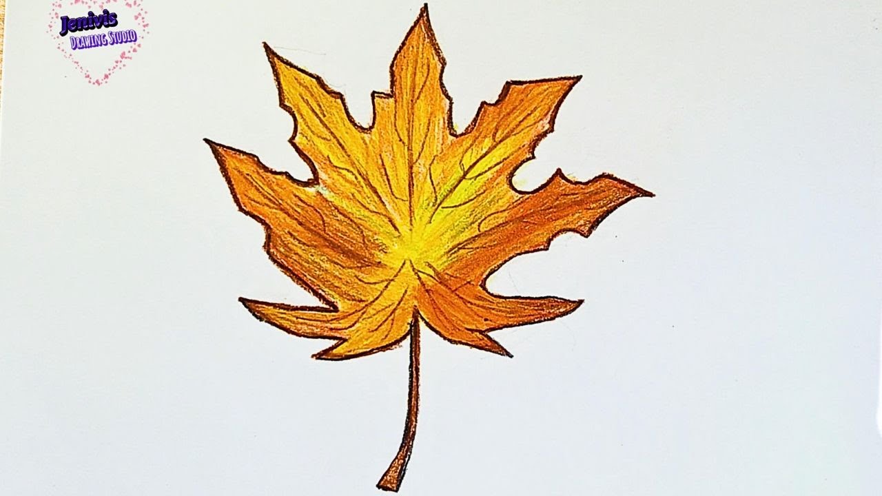 Autumn leaf color//how to draw a fall leaf//how to draw a maple leaf ...