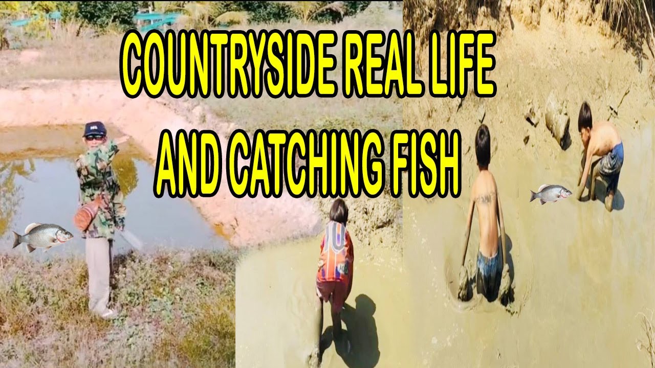 Countryside real life catching fish daily - YouTube