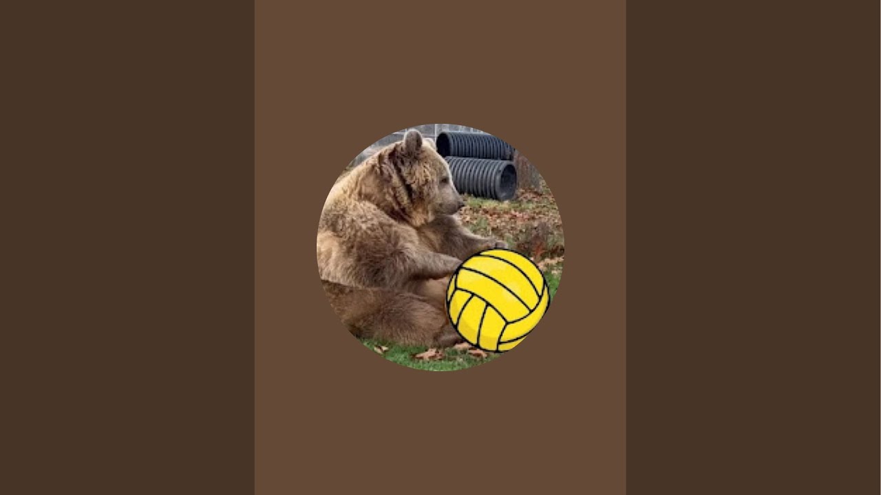 UCLA B vs Cal Poly A - YouTube