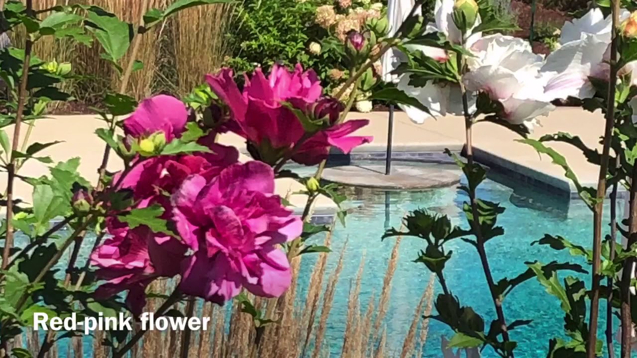 Mr.mitchell 8th grade science project 2019 - YouTube