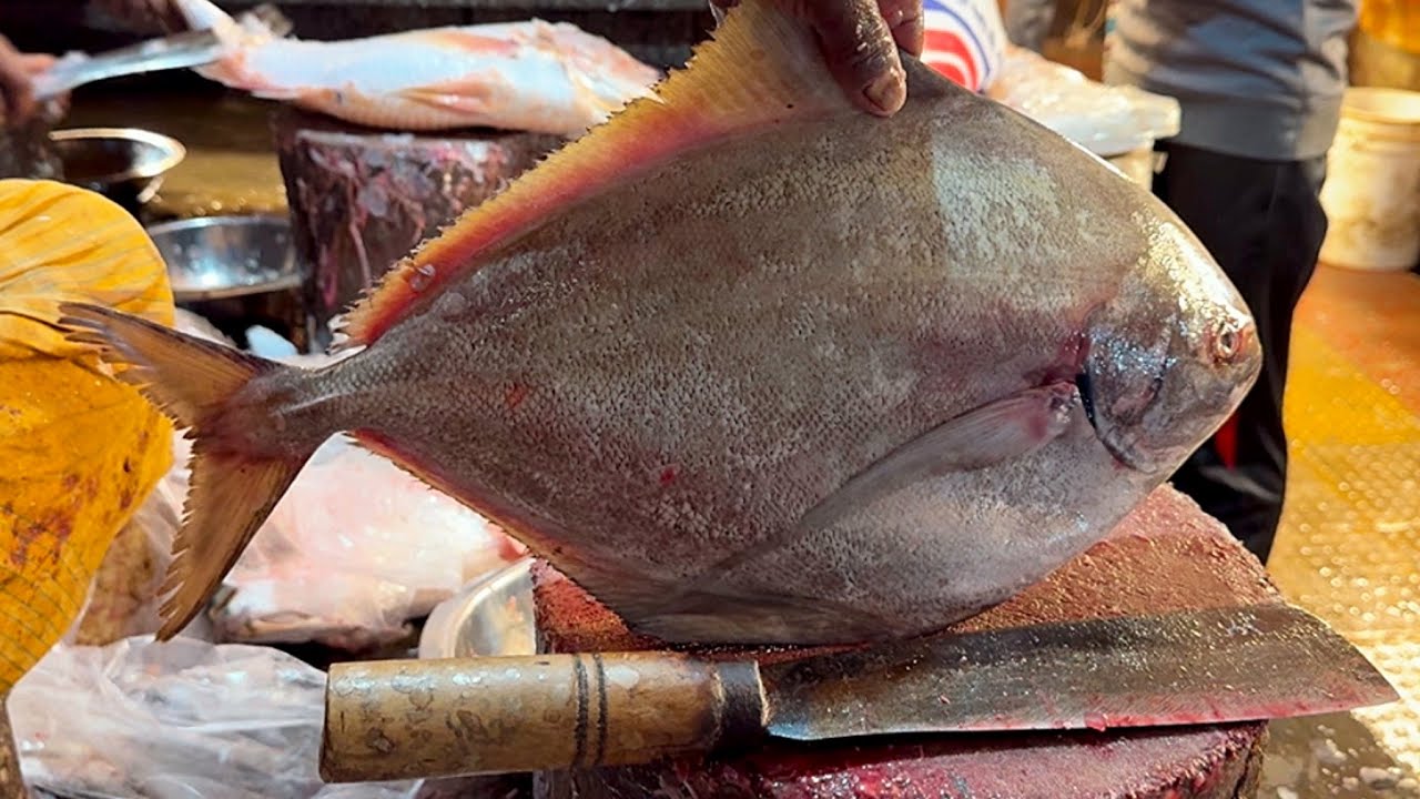 Amazing Black Pomfret Fish Cutting Skills | Fish Cutting Sskills - YouTube