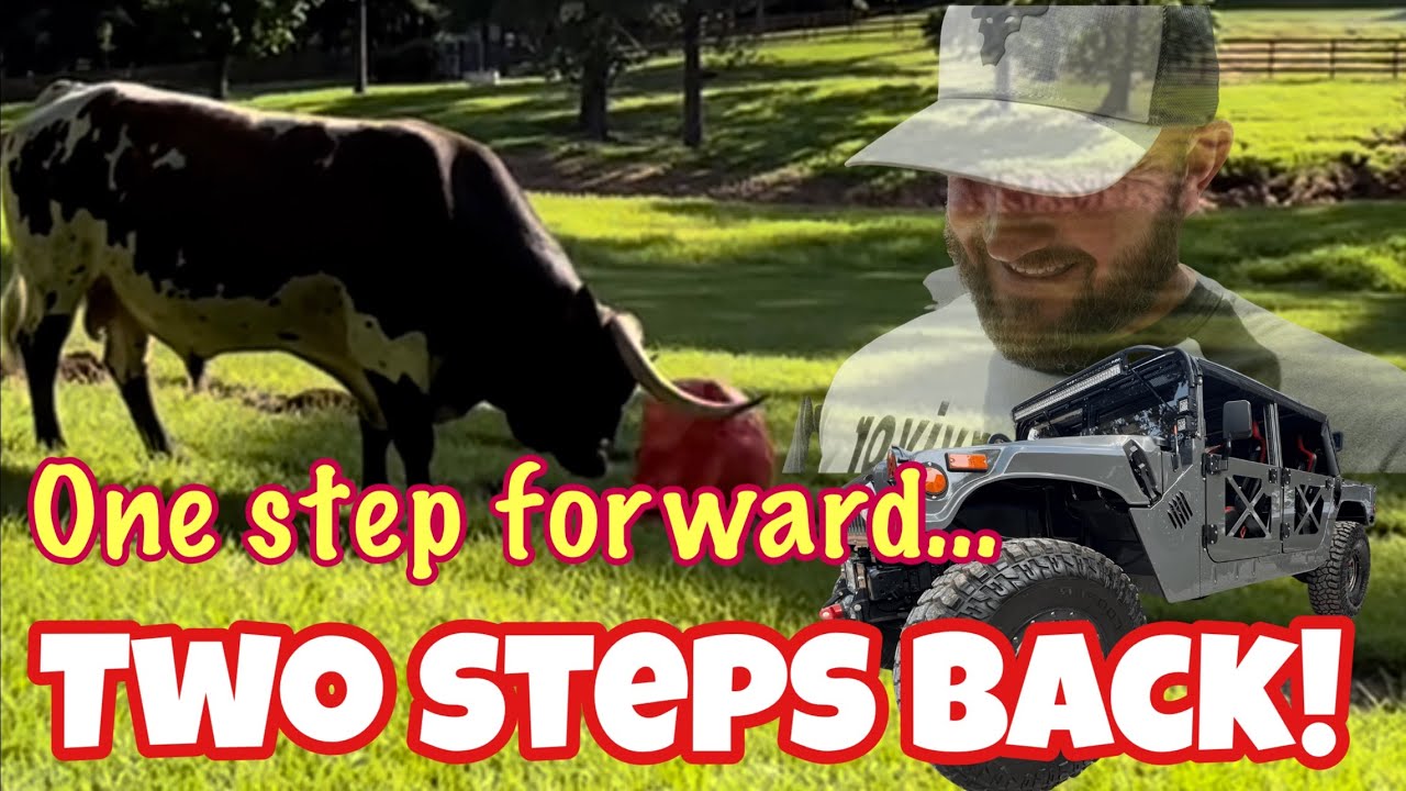 One Step Forward, Two-Steps Back - YouTube