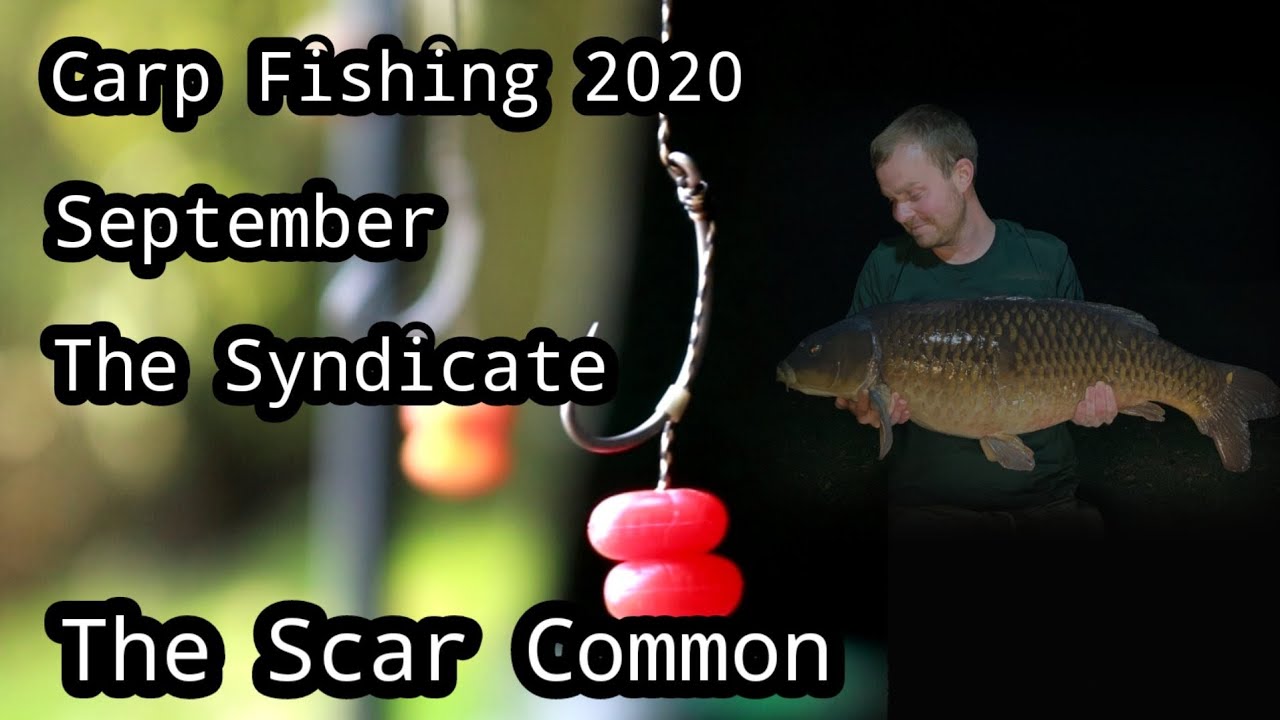 Carp Fishing - September - Syndicate - The Scar Common... - YouTube