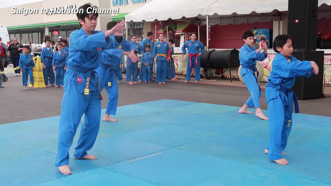 Tự Hào Võ Việt Nam- VOVINAM - Việt Võ Đạo- BIểu diễn VOVINAM ngày Tết ...