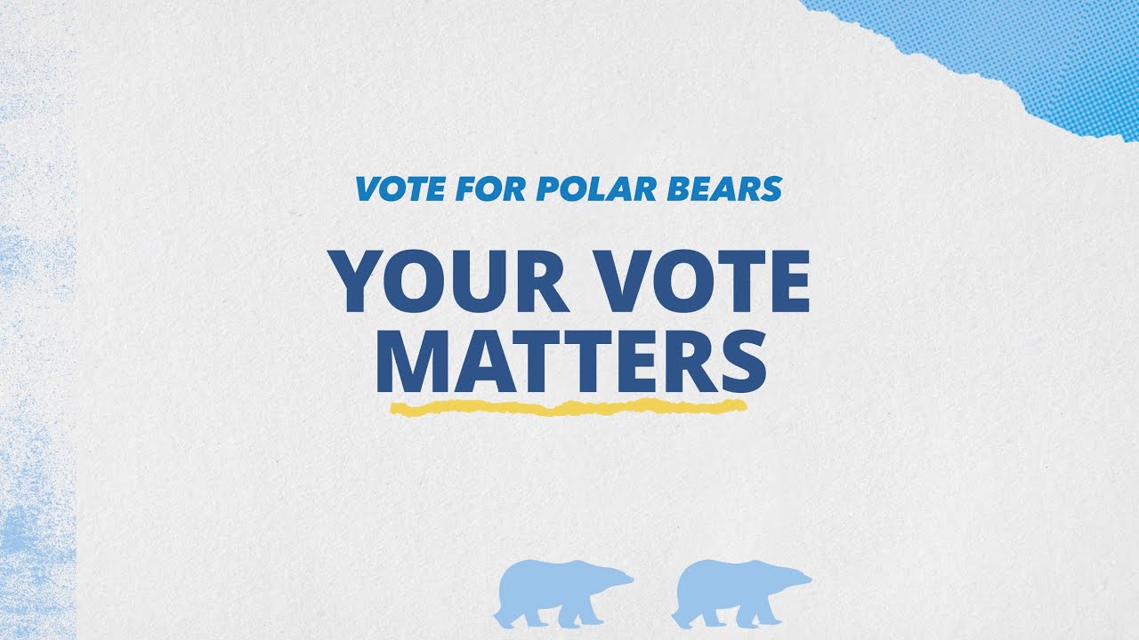 Get Out the Vote: Vote for Polar Bears - YouTube
