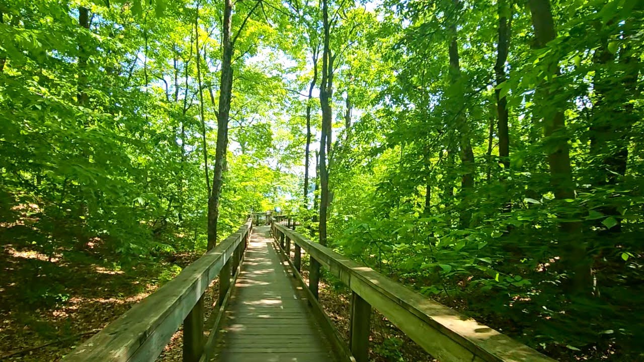 Virtual Hike Through Forest & Around Lake (with Nature Sounds) - YouTube