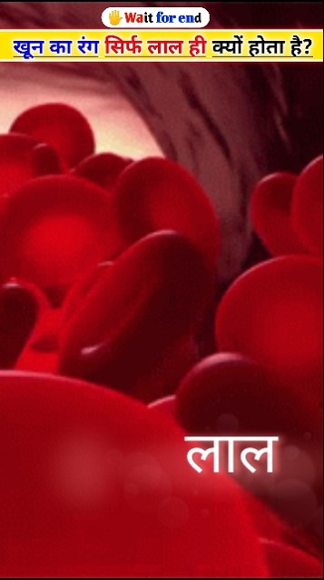 Why is the colour of blood only red? #facts #shortvideo #shorts # ...