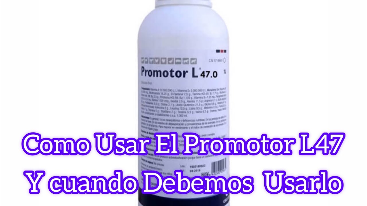 COMO USAR EL PROMOTOR L47 Y CUANDO DEBEMOS USARLO/ EDUCANDO GALLEROS ...