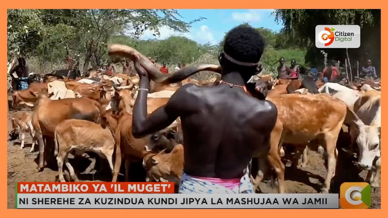 Jamii ya Ilchamus yaandaa matambiko ya aina yake maarufu kama 'Il muget ...