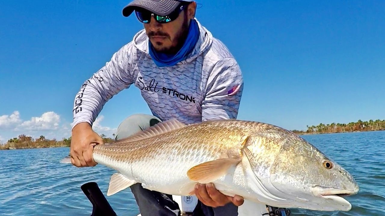 THIS Is Where To Find Bull Redfish This Fall Like A Pro - YouTube