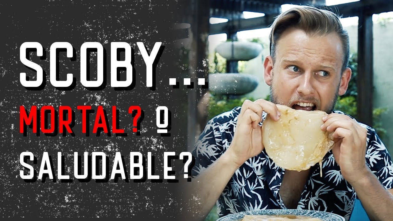 ¿Comer el SCOBY es saludable o mortal? - YouTube