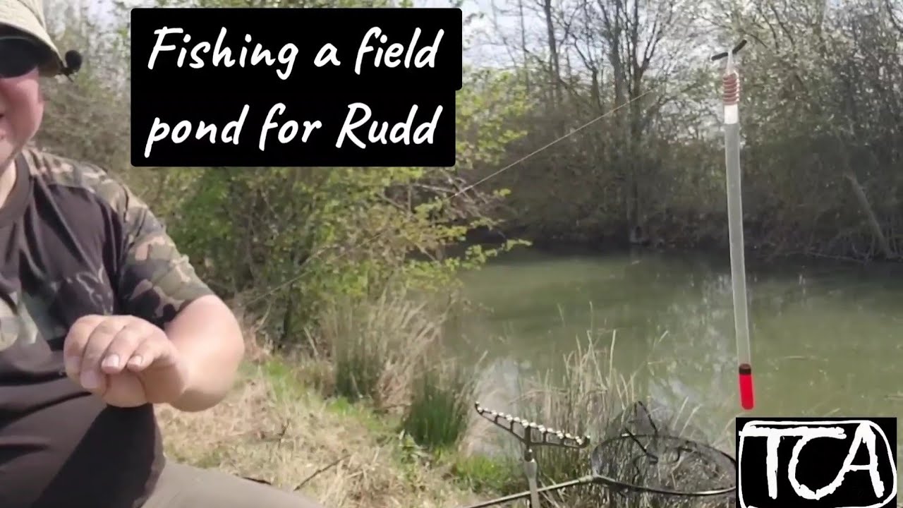 Fun fishing a field pond VID 025 - YouTube