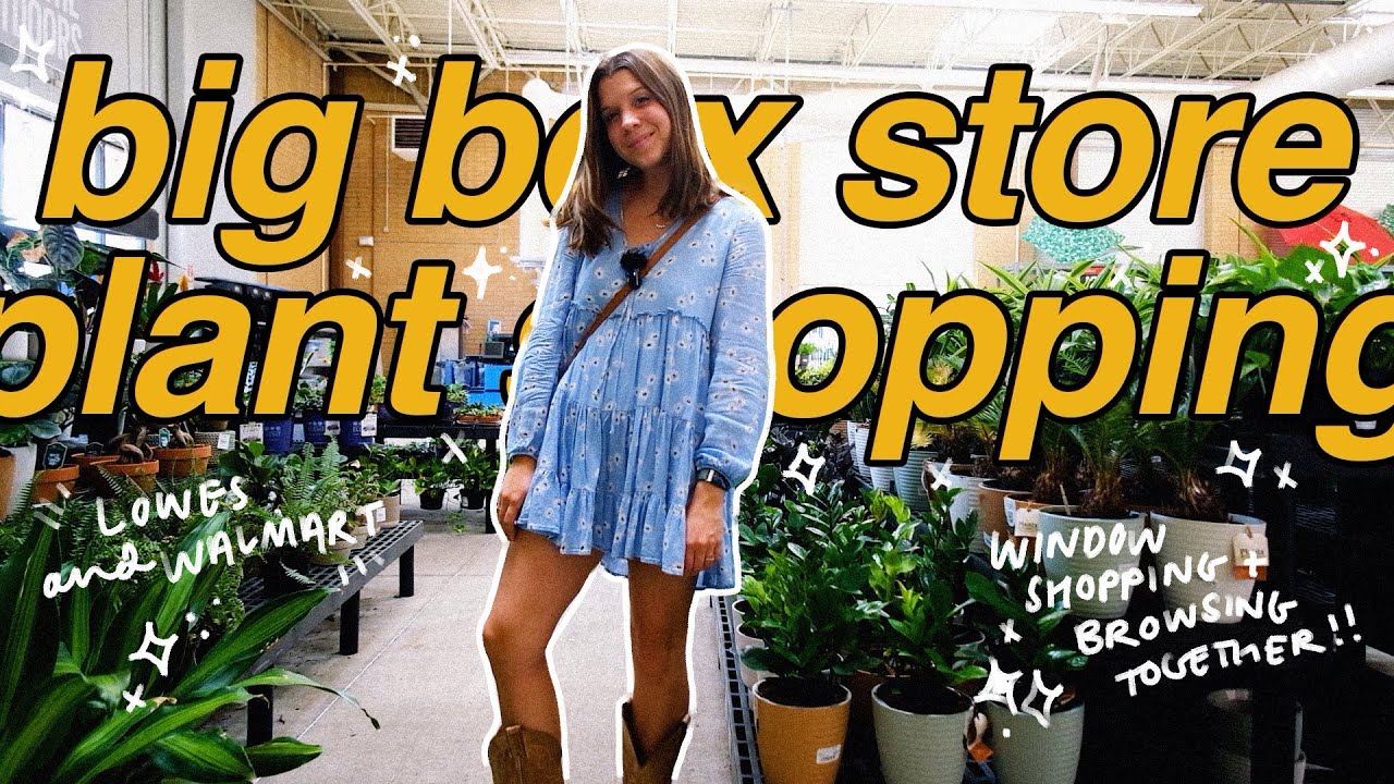 big box store PLANT SHOPPING with me! | what gems can we find? - YouTube