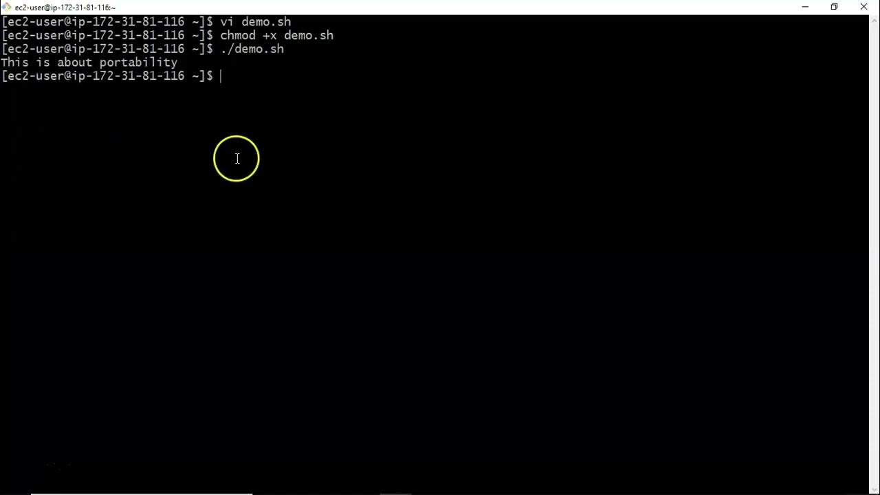 Bash Shell Scripting What Is usr bin env YouTube bash-shell-scripting-what-is-usr-bin-env-youtube