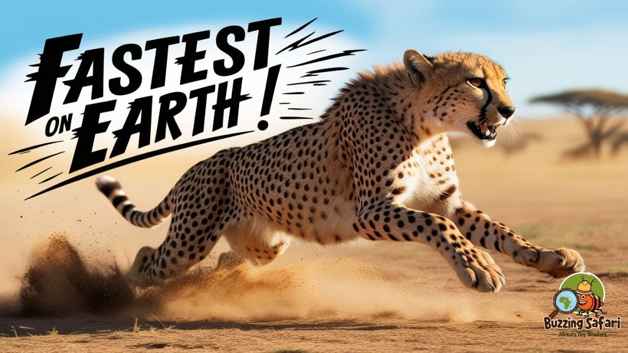 **🐆 Speed Demon: The Cheetah's Chase!** - YouTube