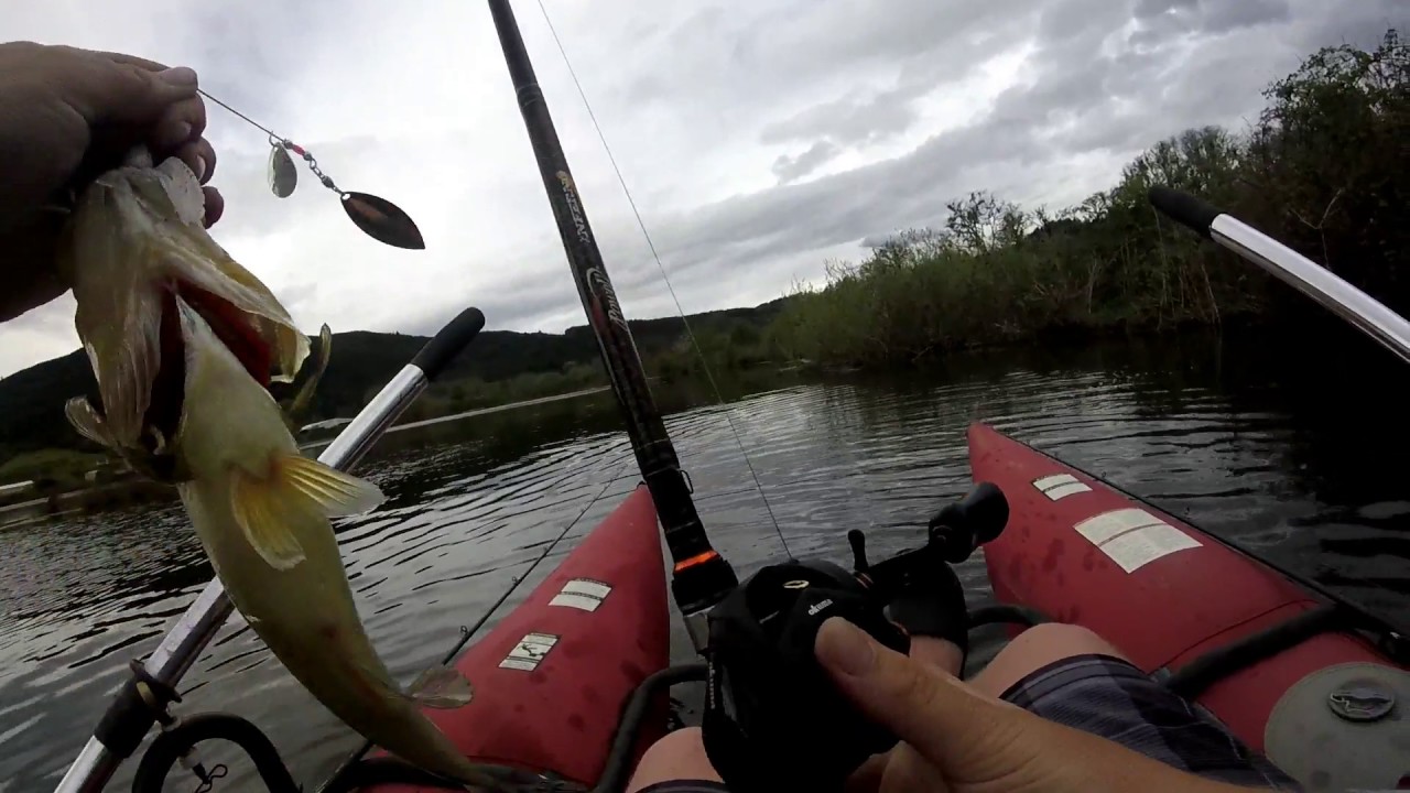 Log Pond Bass Fishing - YouTube