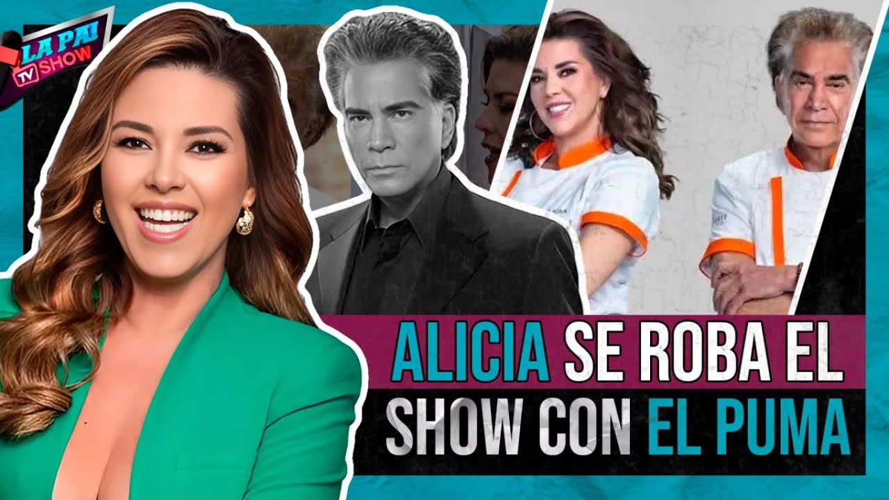 “ALICIA MACHADO Y EL PUMA EN MÁSTER CHEF: PELEA ENTRE ALICIA Y JOSÉ ...